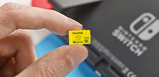 Nintendo Reveals New Licensed Memory Cards For The Switch - Skewed 'n ...