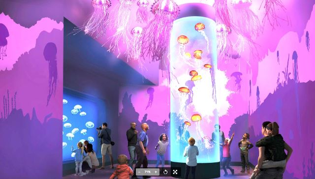 SeaWorld Announces Jewels of the Sea: The Jellyfish Experience - Skewed ...